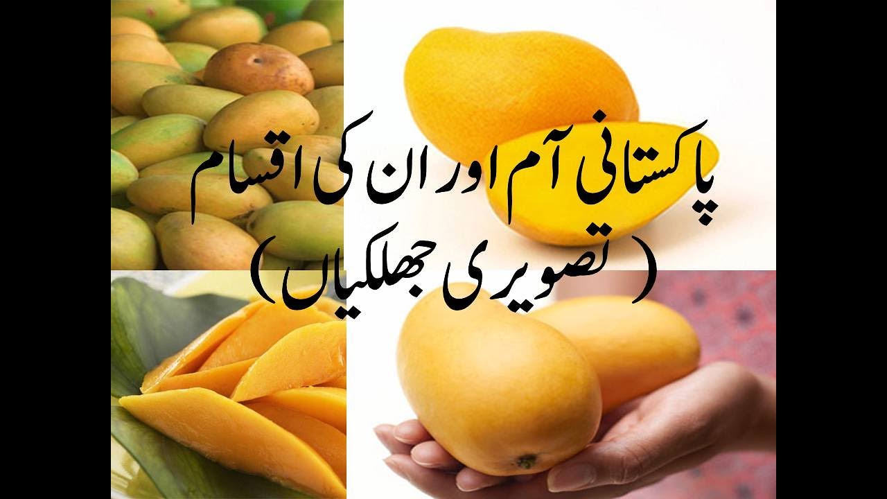Top Best Mango Varieties In The Pakistan| پاکستانی آموں کی قسمیں ...
