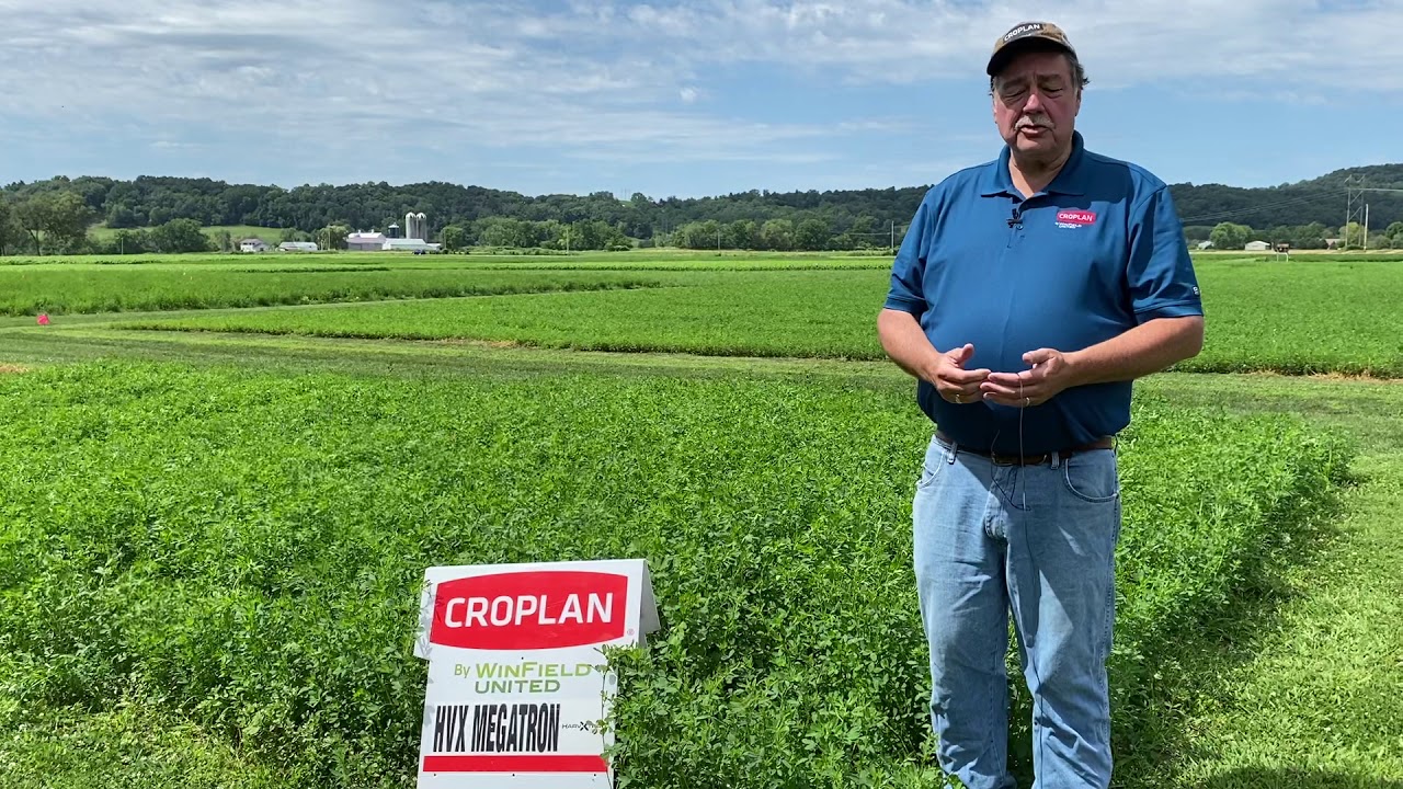 New CROPLAN® AA Alfalfa Lineup | WinField United - YouTube