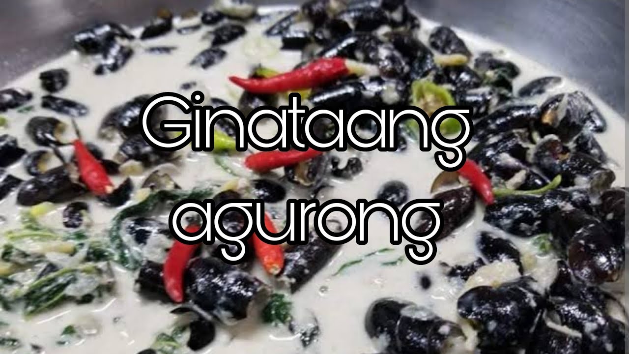 ginataang agurong (snail) |Rhynox TV - YouTube