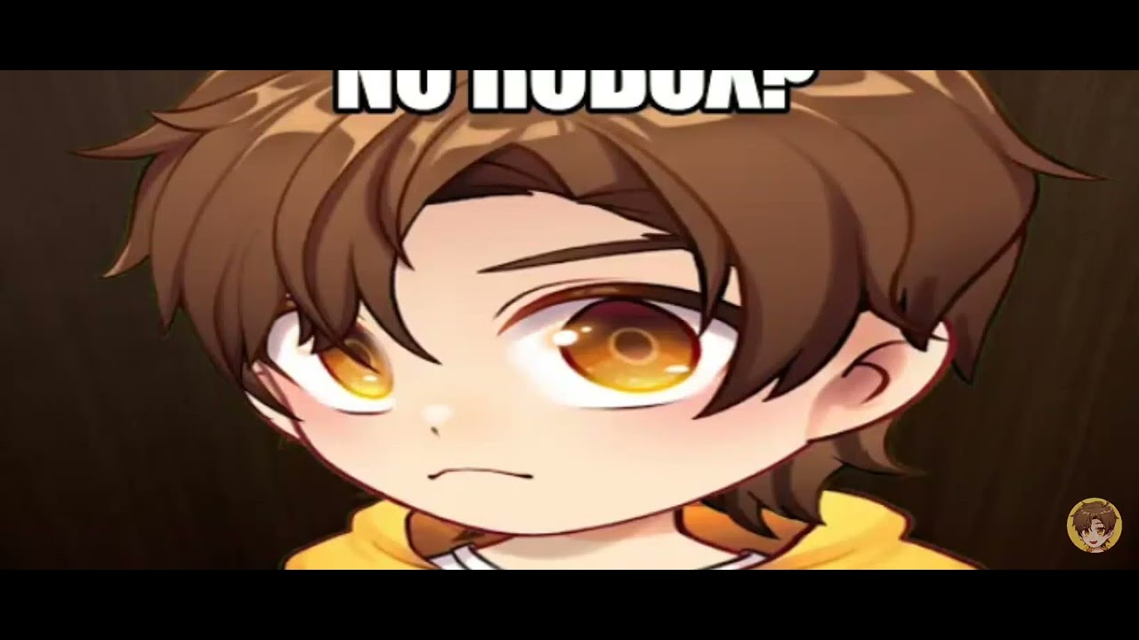 no bobux meme - YouTube