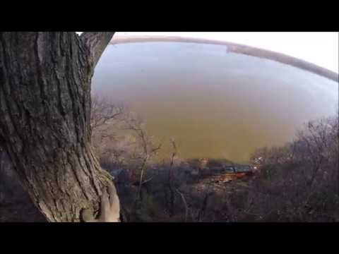 unedited tree work on the bluff - YouTube