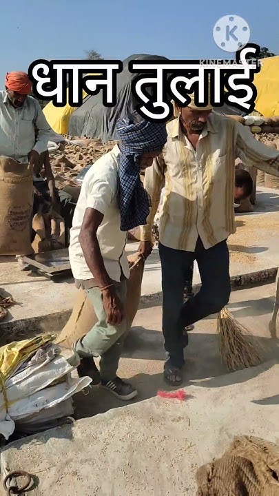 मध्यप्रदेश धान खरीदी केंद्र में धान कांटा सिलाई आदि Mp Dhan Kharidi