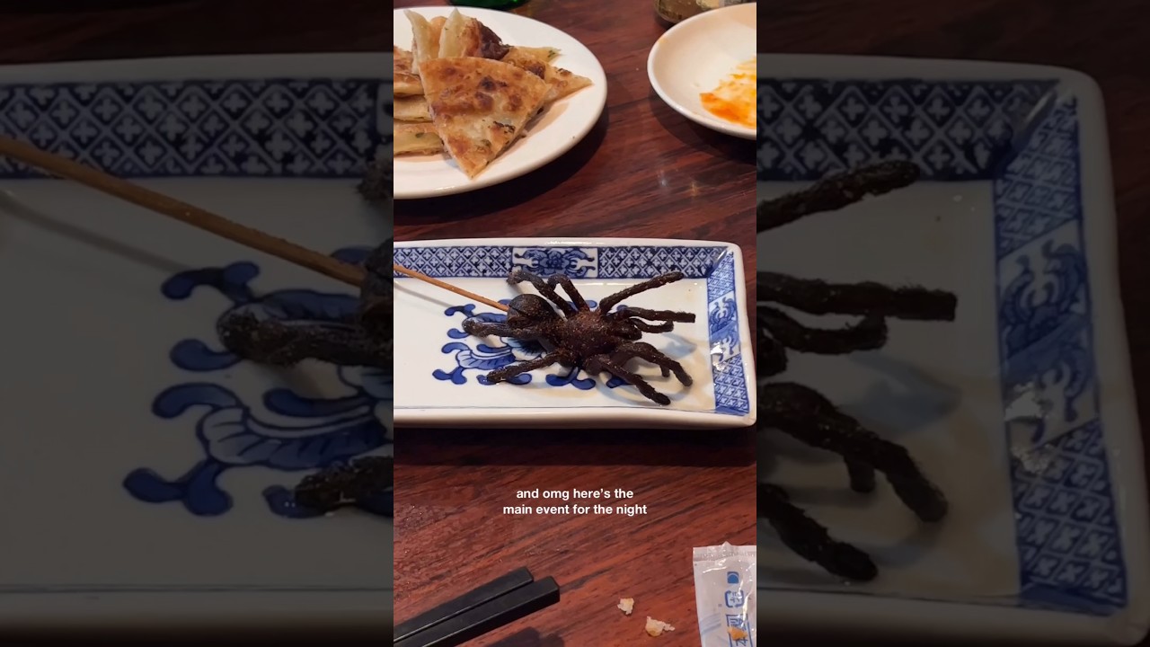 Tokyo Mini Vlog #8: Ray ate a spider and I’m just trying to be a ...