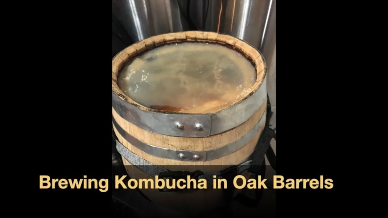 Brewing Kombucha in Oak Barrels - YouTube