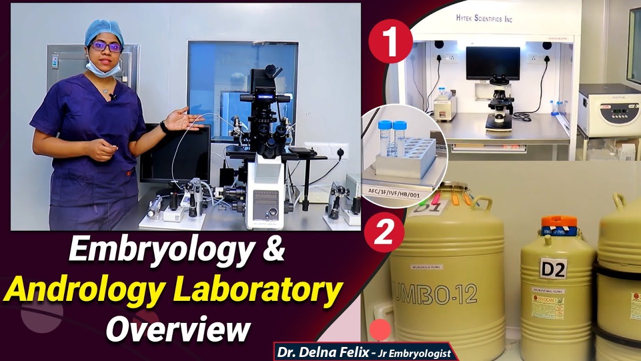 Embryology and Andrology Laboratory Overview || IVF Lab Tour || Avira ...