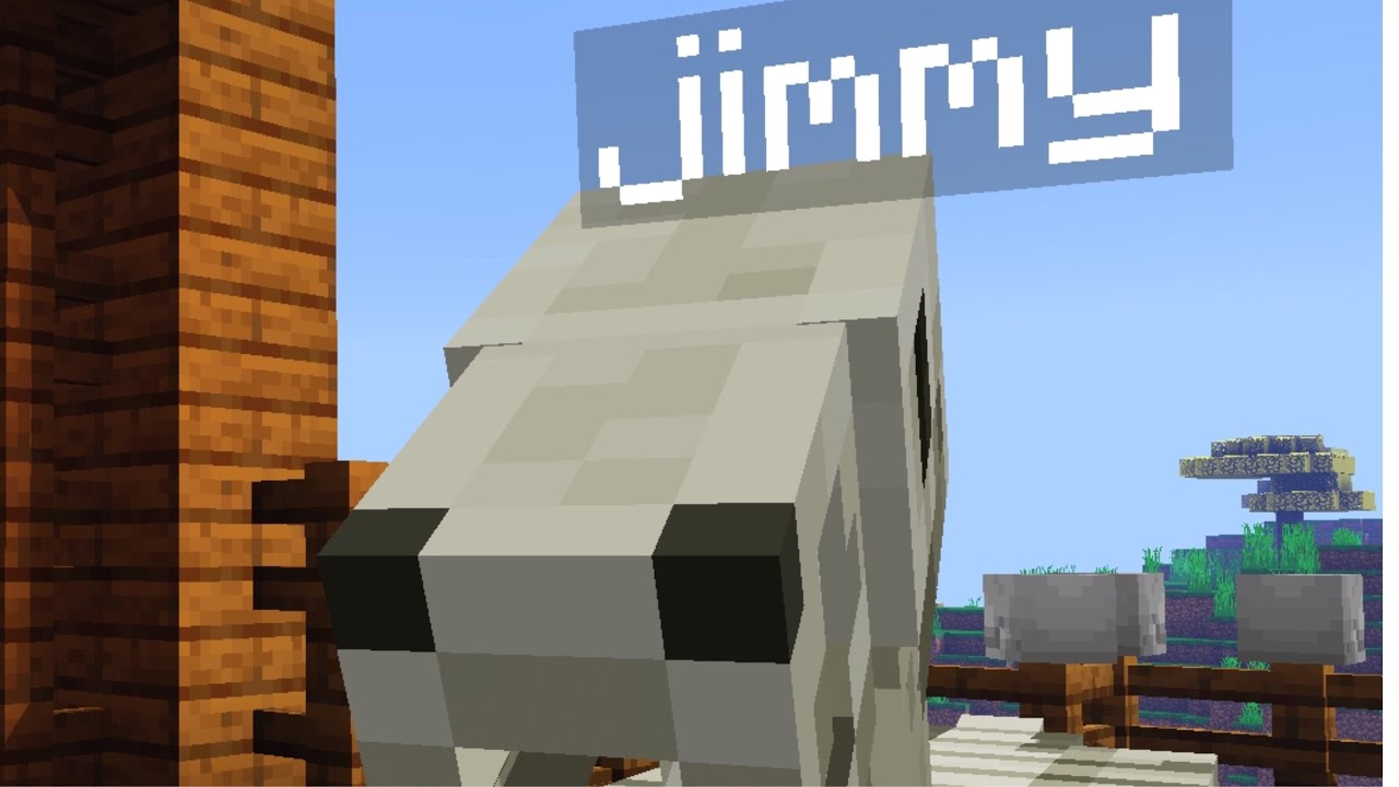 The return of jimmy (Minecraft #10 - YouTube