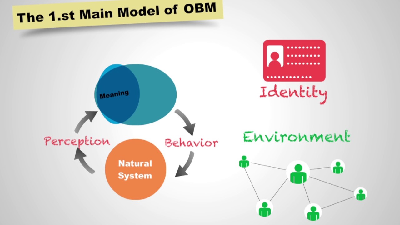Optimum Balance Model - YouTube