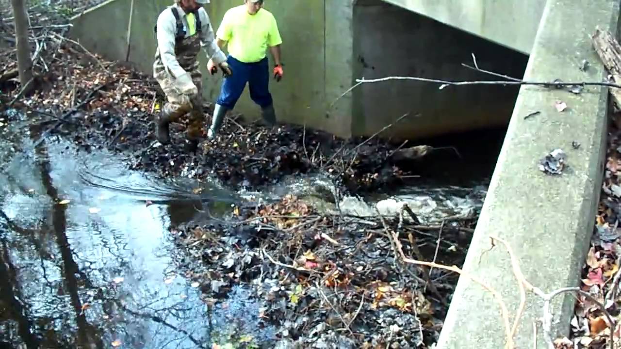 BEAVER DAM DESTROYED! - YouTube