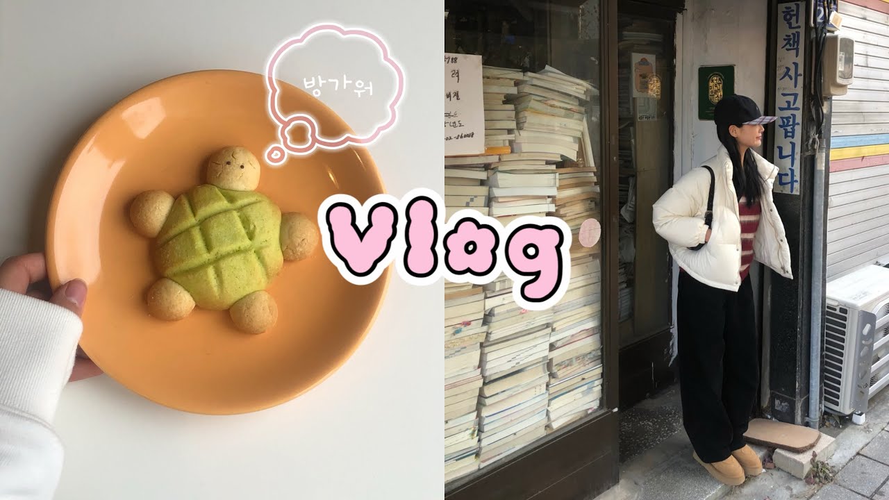 일상 Vlog 친구들과 연말모임 수원 와인바ㅣ크리스마스 여행 캠핑장 데이트 1년차 커플이 노는 법 Youtube