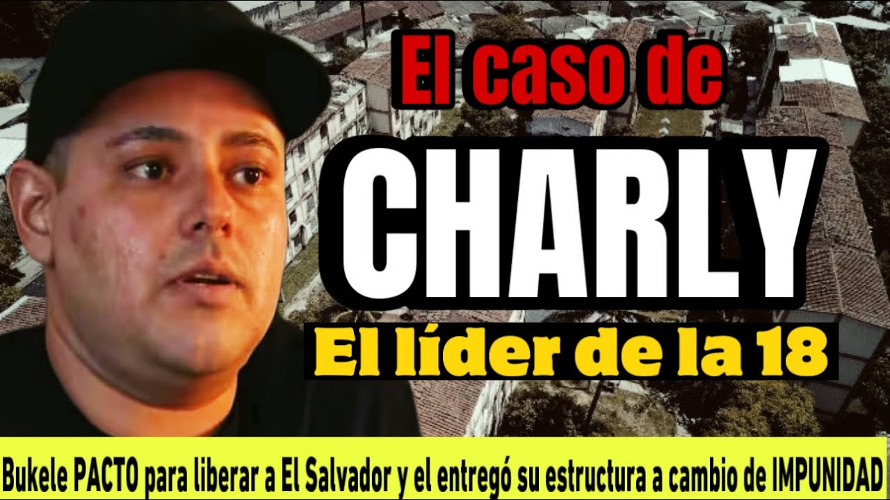 ¿Dónde está Charly? // El caso de EL CHARLY DE LA IVU. - YouTube