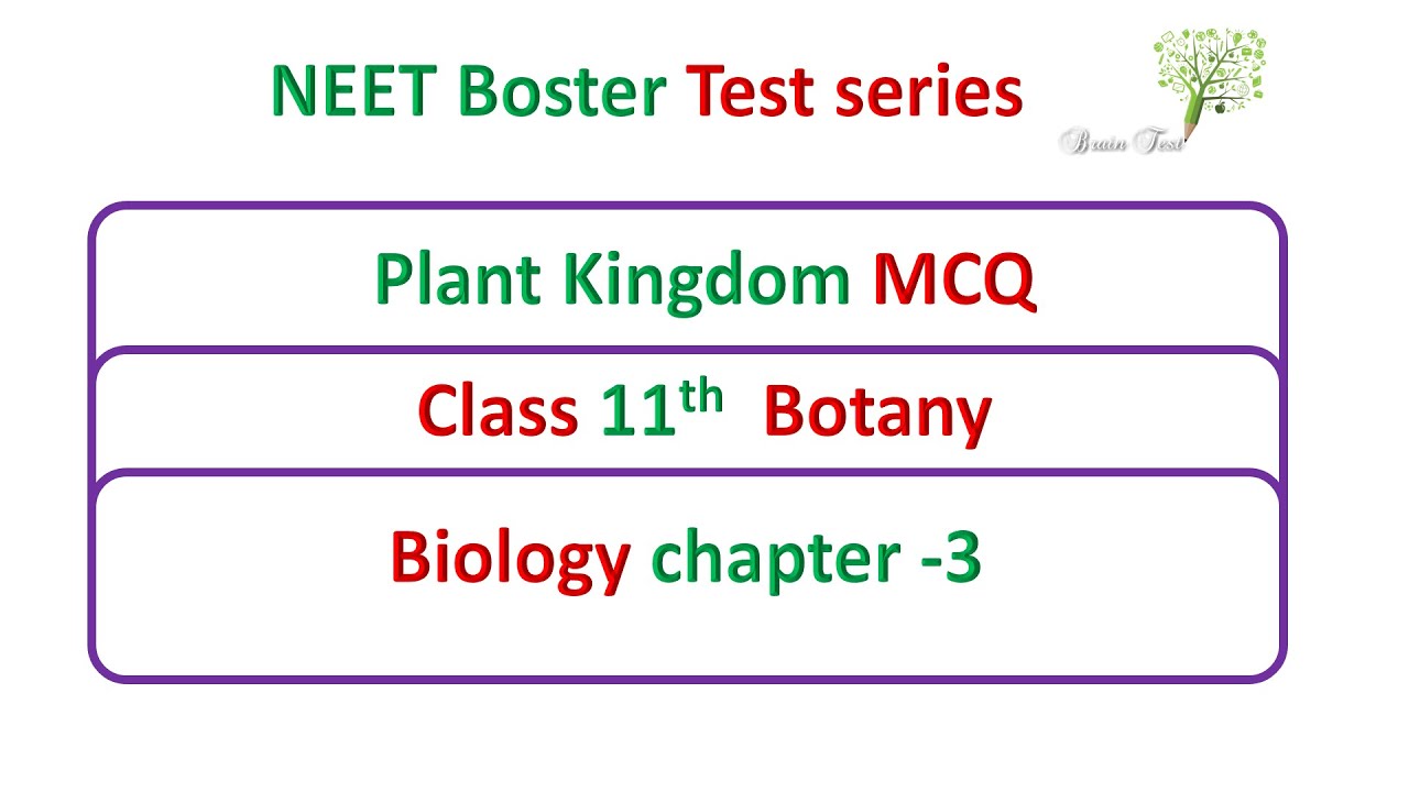 Plant Kingdom Mcq Question And Answer For Neet 2021 By Brain Test YouTube plant-kingdom-mcq-question-and-answer-for-neet-2021-by-brain-test-youtube