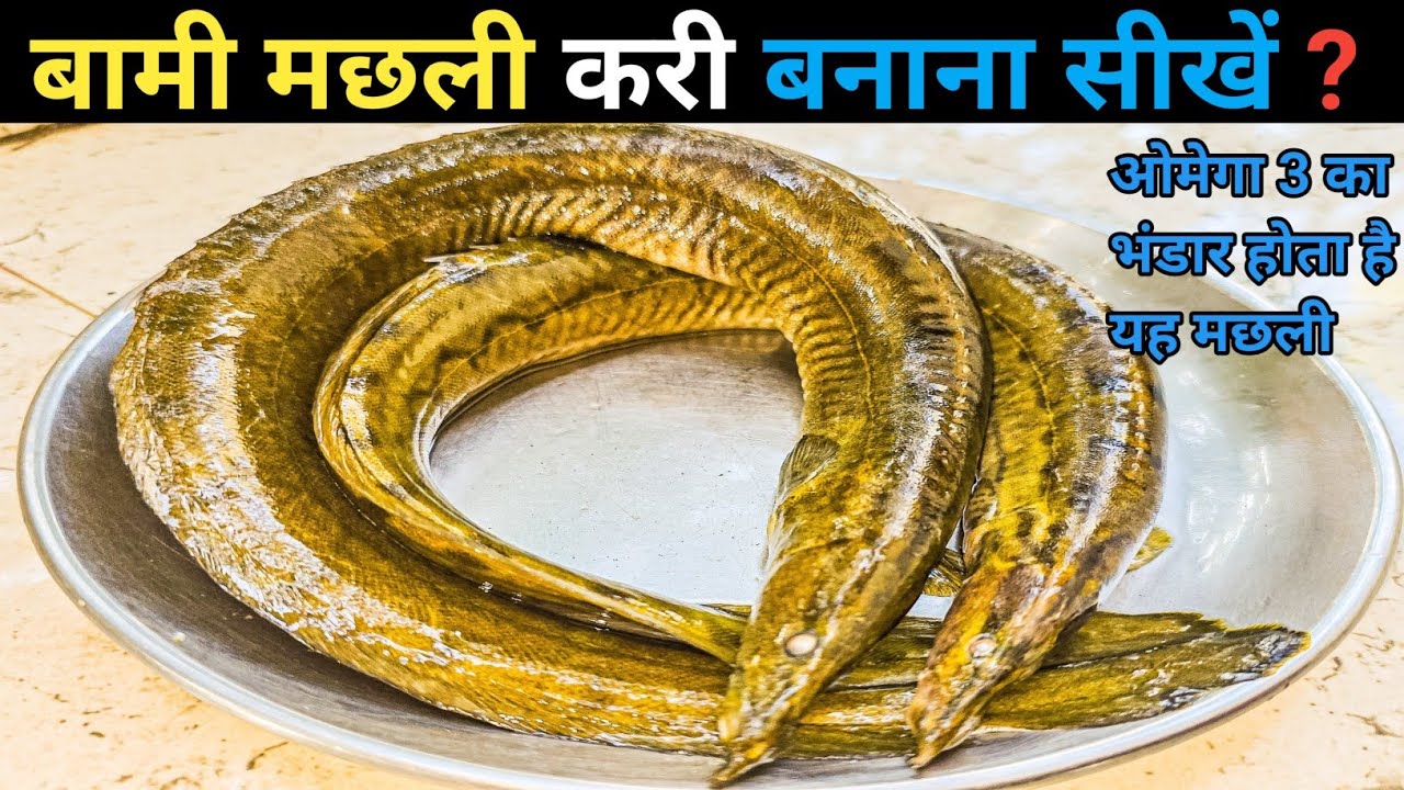 एक बार देहाती तरीके से बामी मछली बनाकर देखें, स्वाद इतना कि आप भूल नहीं ...