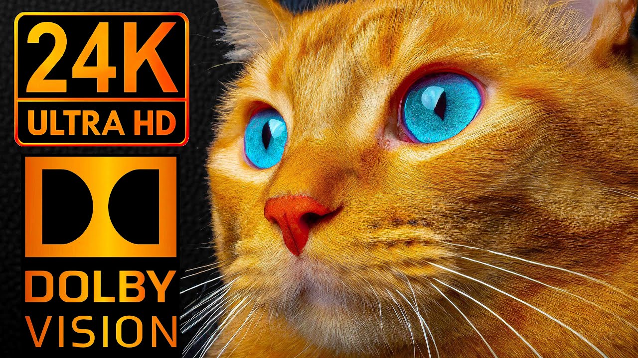 World First 24K HDR 120FPS DOLBY VISION - YouTube