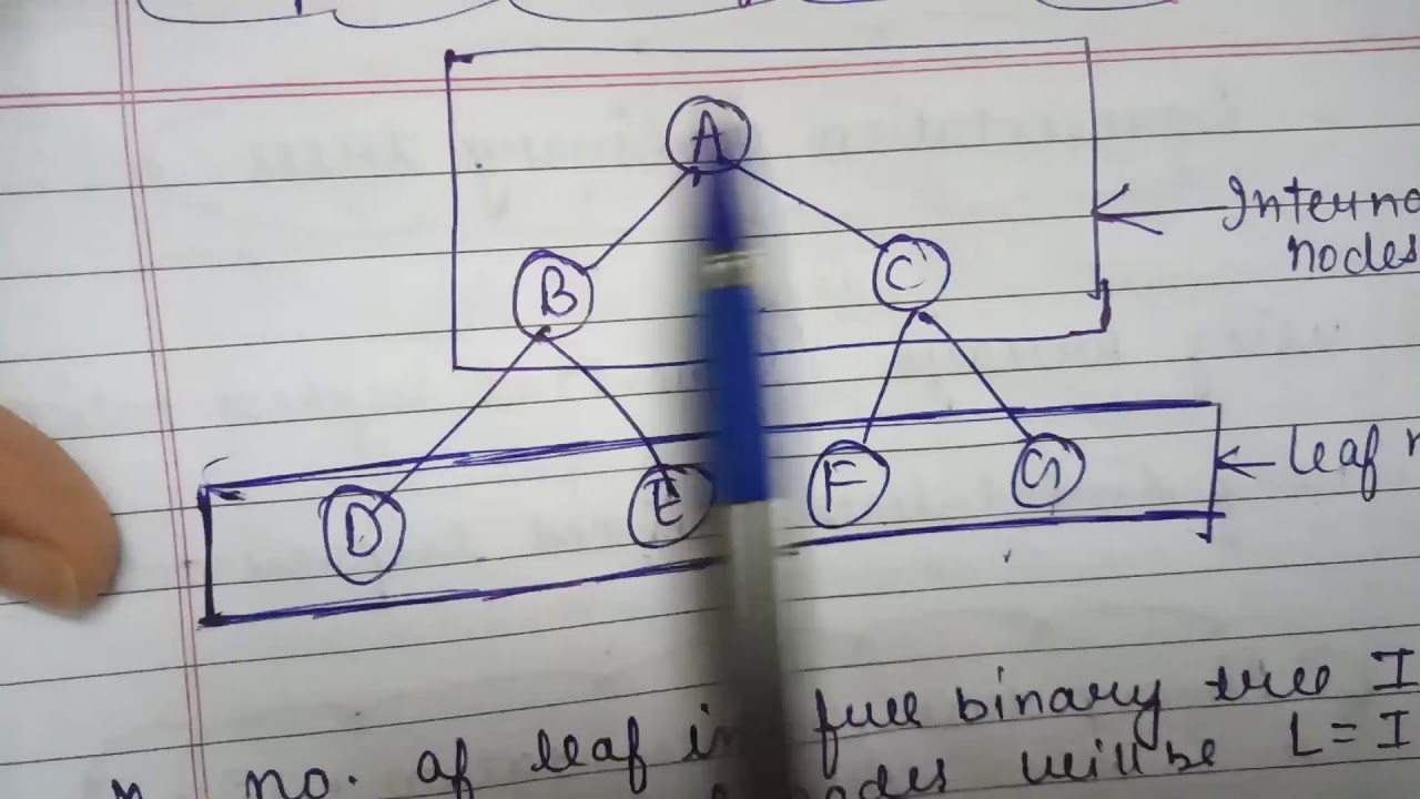 Properties exist for full binary tree - YouTube