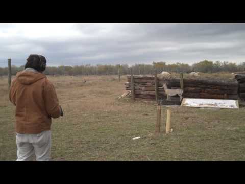 Desert Eagle vs. Brick