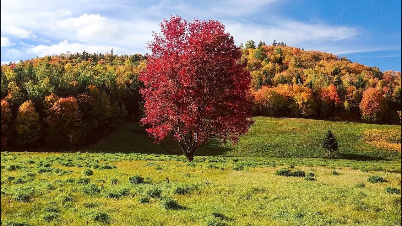🍂 Fall Road Trip in Quebec's Countryside 🍁 WOW - YouTube