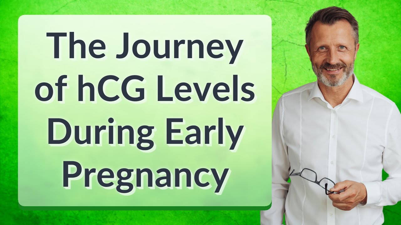 The Journey of hCG Levels During Early Pregnancy - YouTube