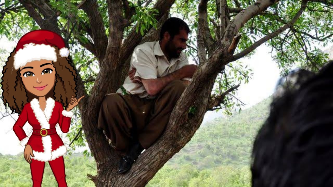 സഹാനുഭൂതി | COMPASSION | ജാലകം | Episode 137 | Anu Chacko Vlogs - YouTube