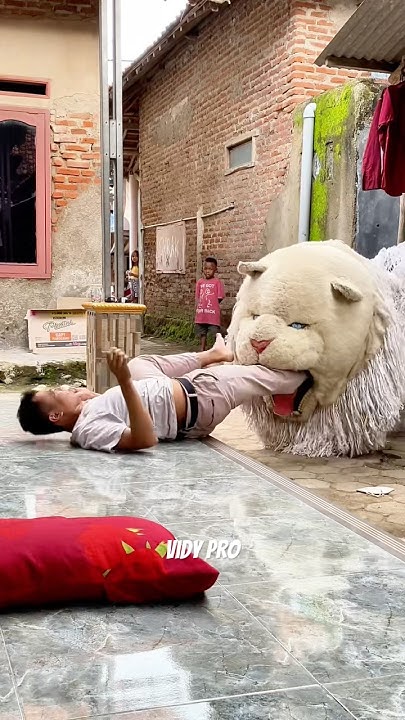 Kak Kevin lagi tidur di gigit can macanan - YouTube