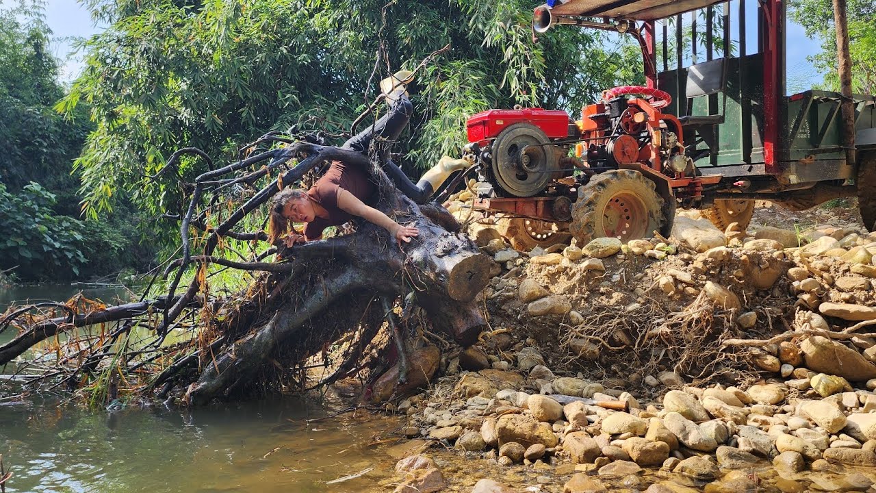 Agricultural vehicle, girl loads giant tree stump onto vehicle - YouTube