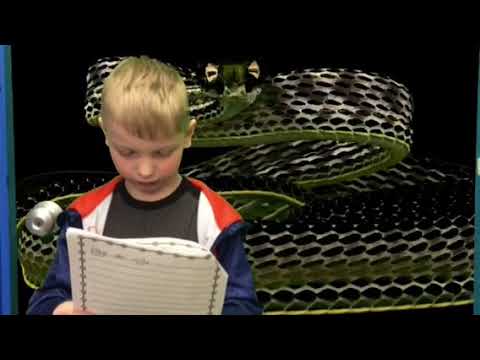 Jackson-Snake Informational Report - YouTube