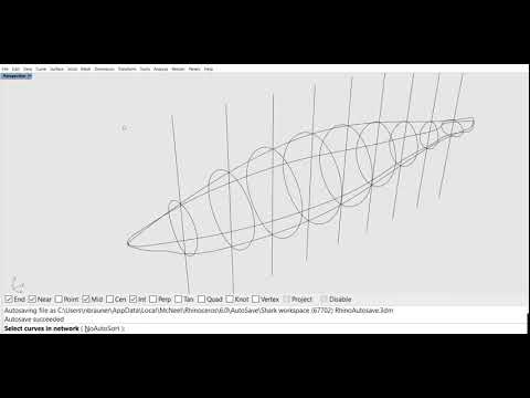 Shark Surface from Curve Network