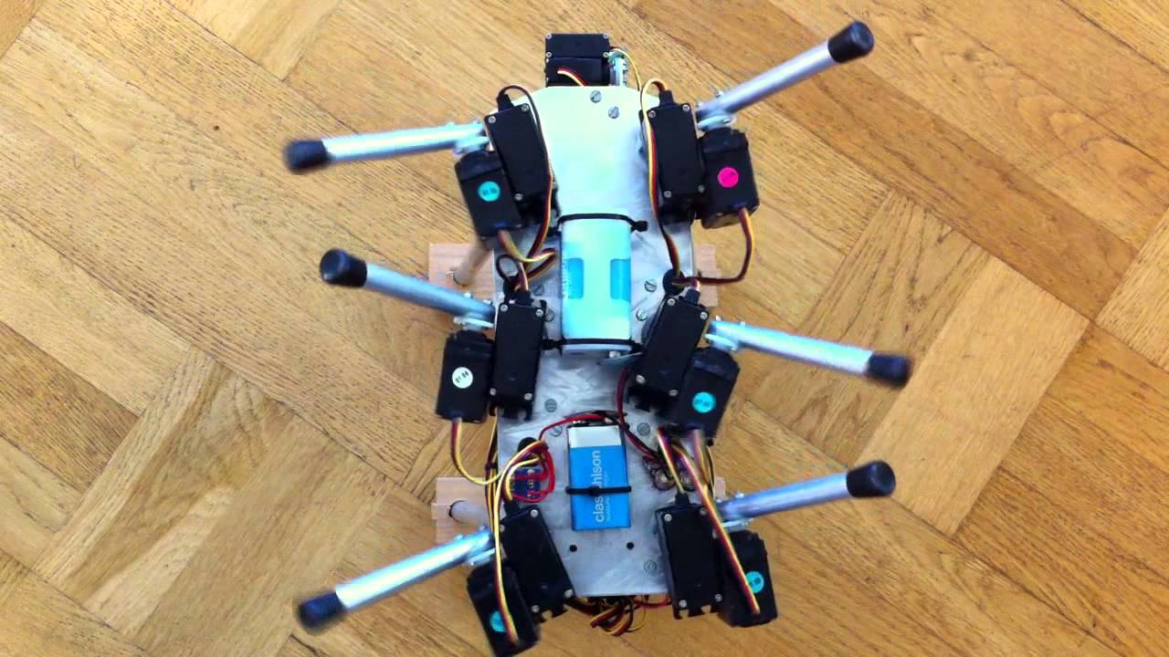 Six-legged walking robot Stampe 6 - Alternating tripod gait shown from ...