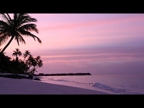 Beautiful Nature Relaxing City Relaxing for Sleep - YouTube