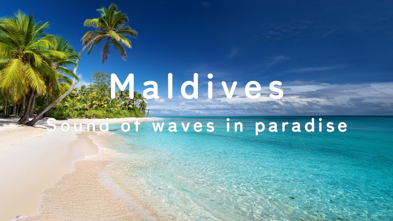 Healing Sounds | BGM | Relaxing | Music | Maldives Sound of waves in ...