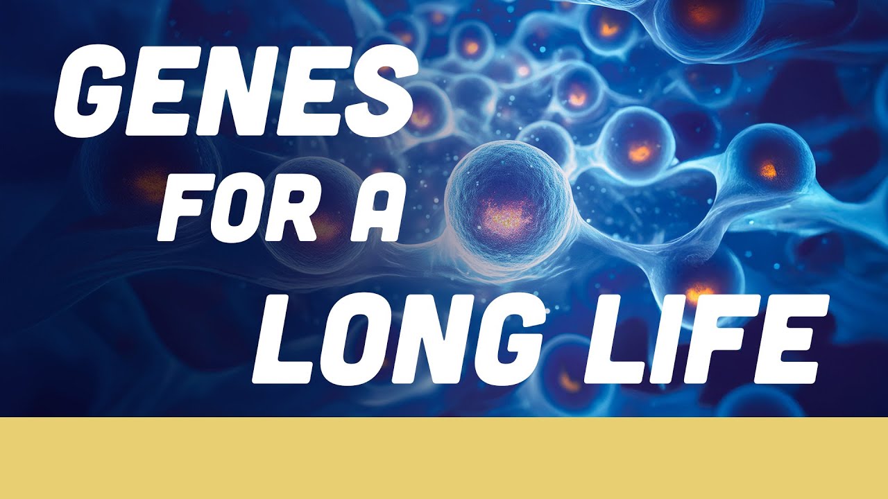 GB Longevity100 - Can you mimic centenarian genes for a longer life ...