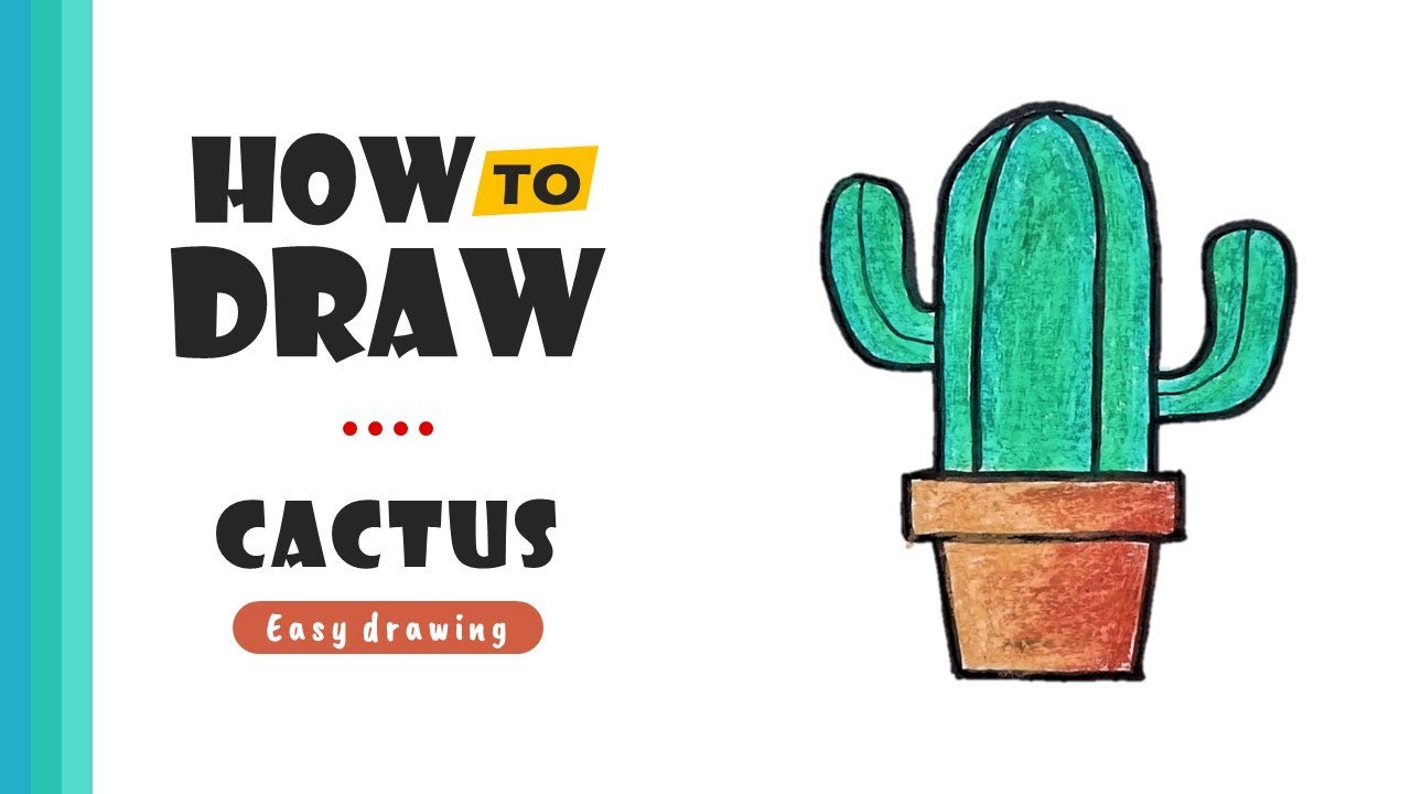 How to Draw Cactus - Drawing Cactus I Easy Drawing - YouTube