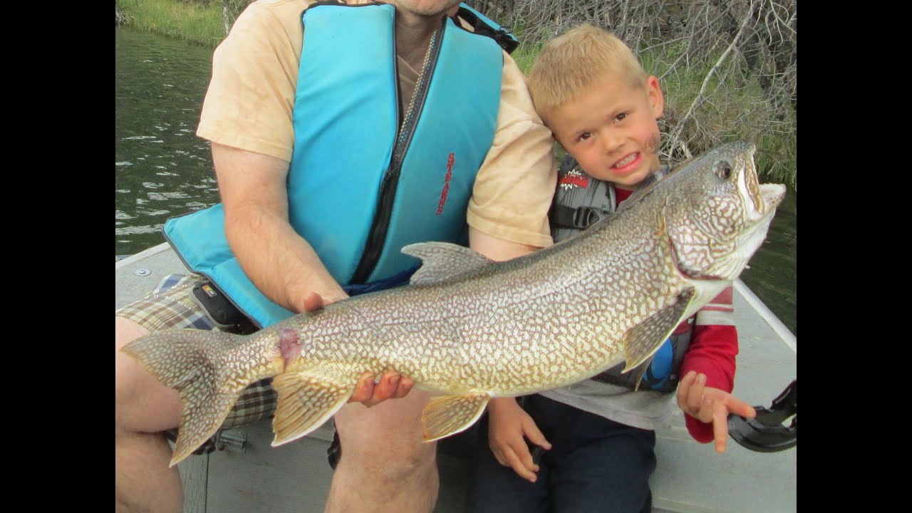 5 year old kid catches huge Lake Trout - YouTube