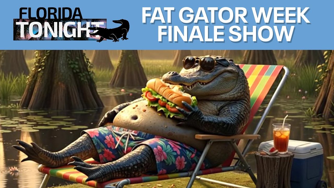 Florida Tonight: Fat Gator Week finale show, fattest gator revealed ...