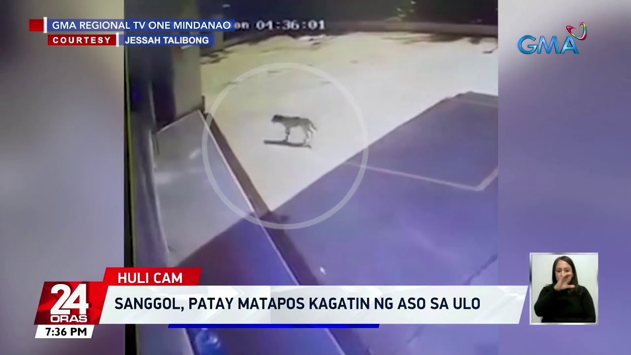 Sanggol, patay matapos kagatin ng aso sa ulo | 24 Oras - YouTube