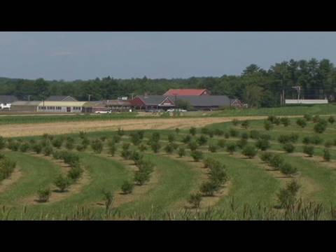 CNN: America's oldest family farm for sale - YouTube