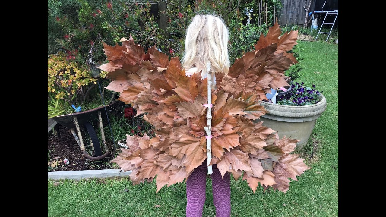 Wild Kindling - Nature Wings - YouTube