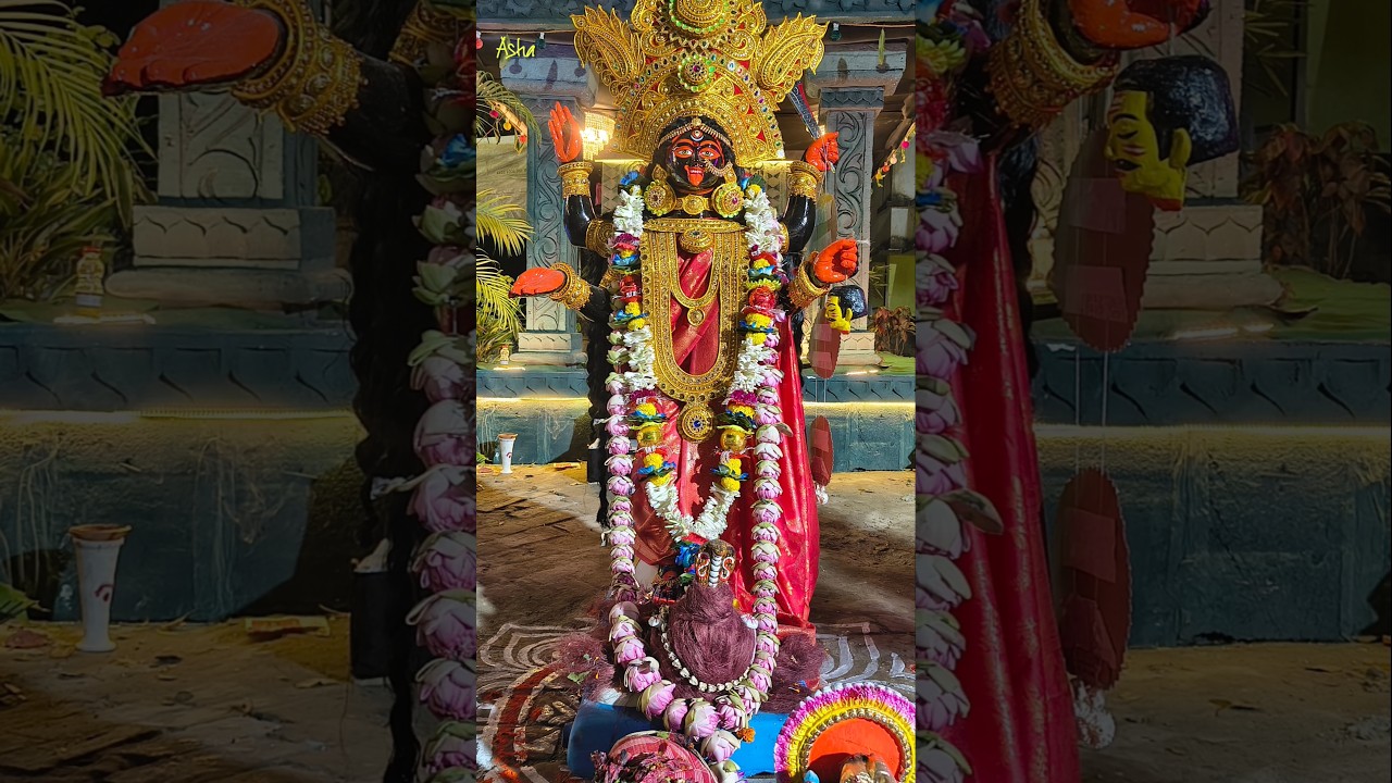 #reels #like #viral #views #edit #happy #makali #puja #kalimata # ...