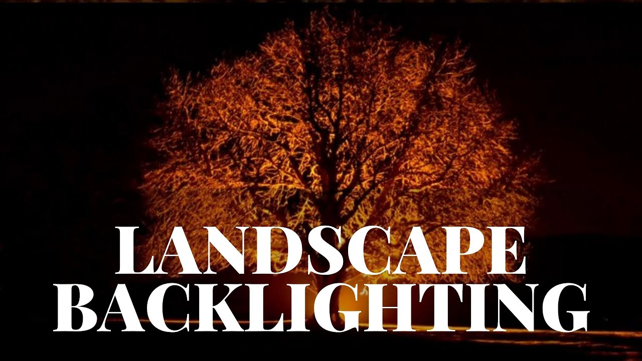 Landscape Backlighting • General Overview • Free Landscape Lighting ...