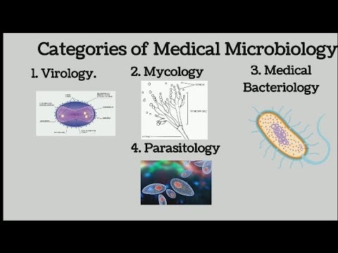 Introduction to medical microbiology. - YouTube