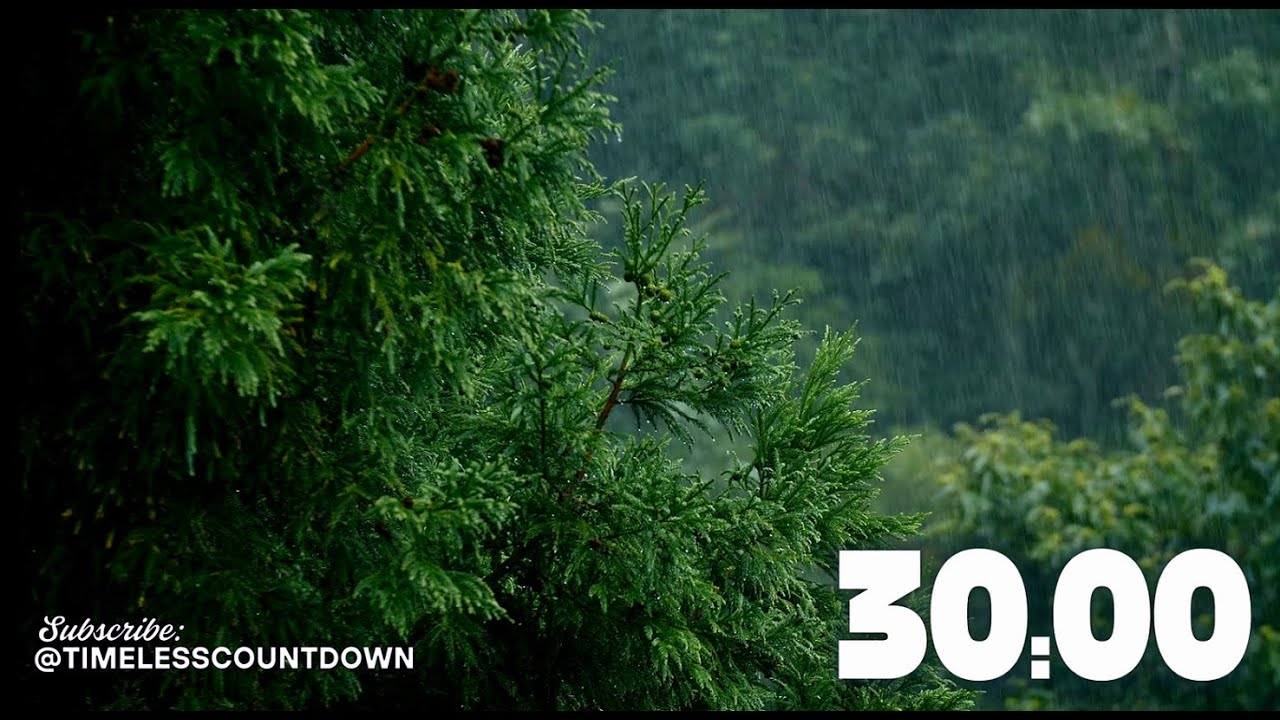 🌲 30-Minute Countdown Timer with Rain in the Forest 🌧️ | Relaxing Focus Timer for Study & Work ...