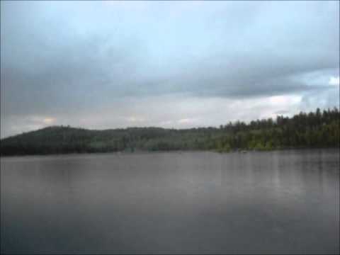 Ulven uler på Finnskogen. Wolf cry on Finnskogen, Norway. - YouTube