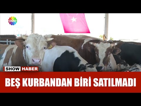 Kurban pazarlarına arife bereketi uğramadı