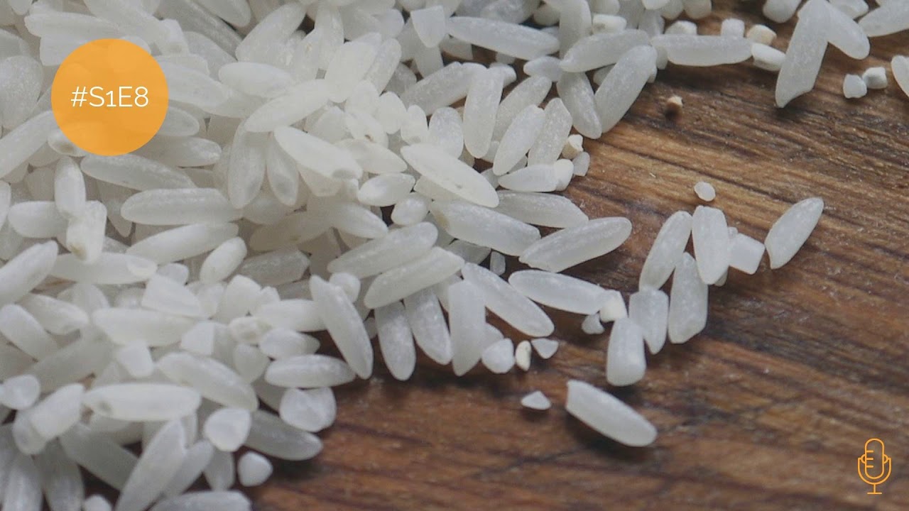 S1E8: Das Reiskorn - YouTube