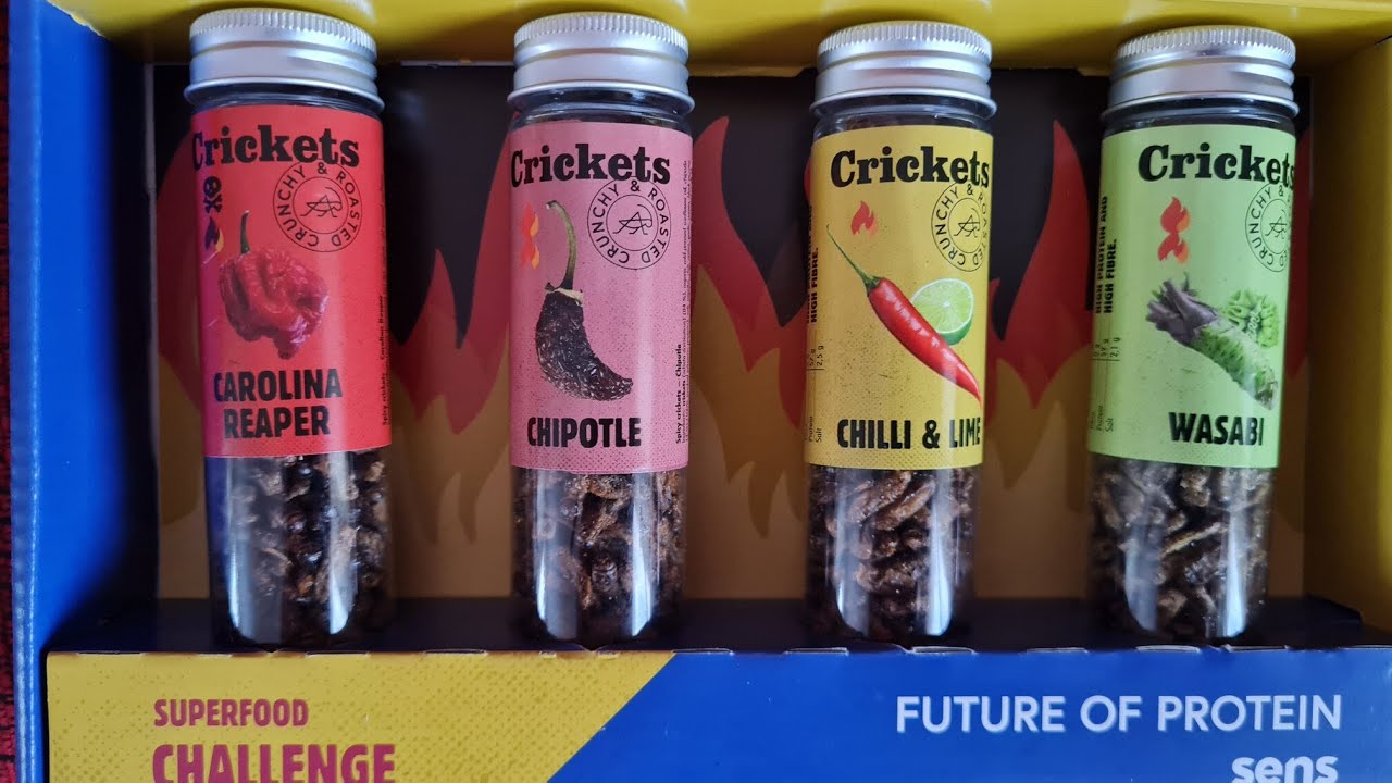 Spicy Crickets Challenge! - YouTube