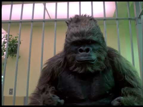 The Incredible Hulk (Show) The Beast Within Hulkout 1 - YouTube