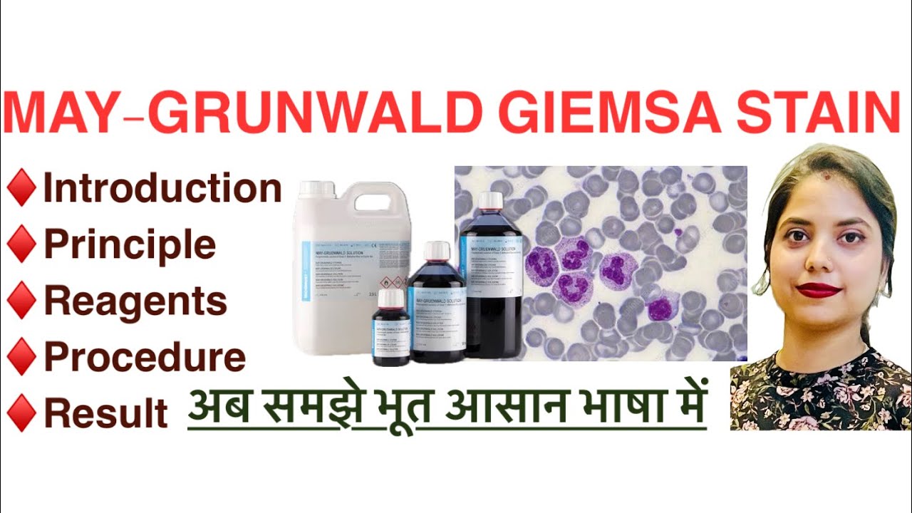 May-Grunwald giemsa stain (Mgg) in Hindi | Principle | Procedure | Reagents | MLT - YouTube
