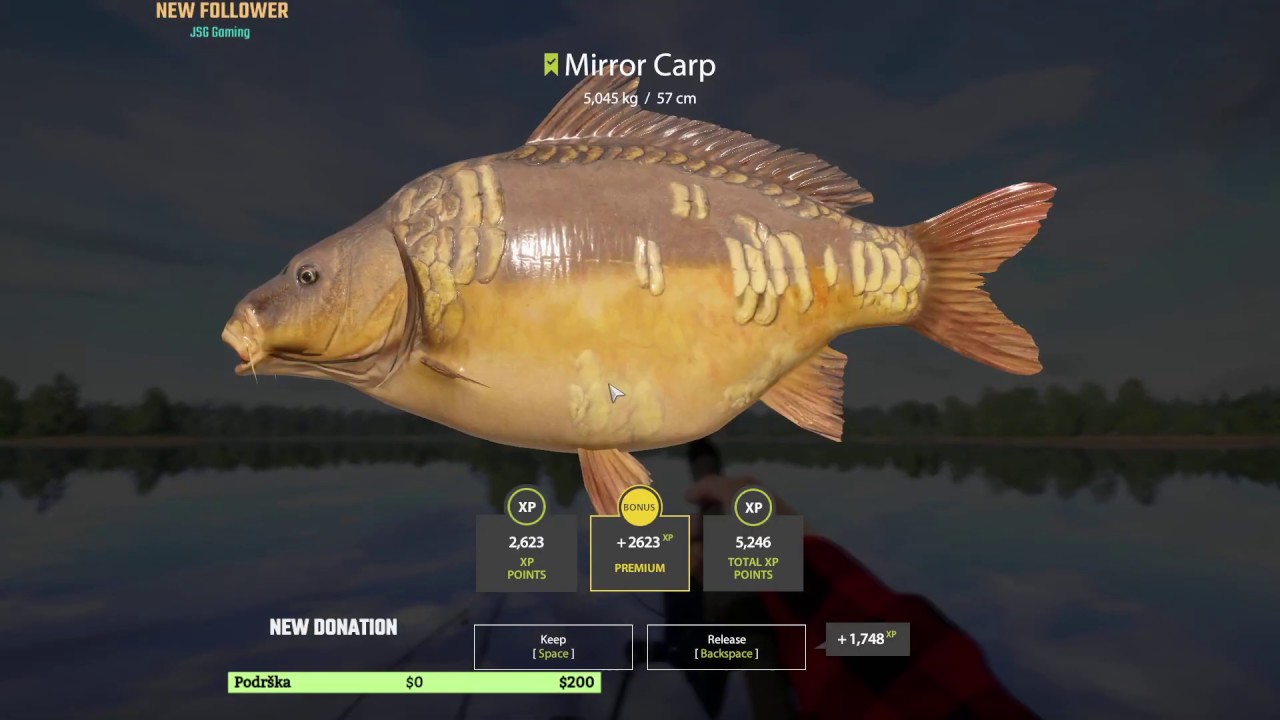 Russian fishing 4 Amber Lake Lovimo pa koliko ulovimo - YouTube