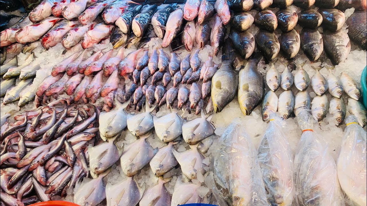 Wholesale Fish Market In Indian🇮🇳(Delhi) |मछली मार्केट In Delhi Kalkaji ...