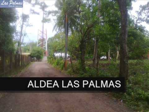 Aldea Las Palmas, Coatepeque . - YouTube