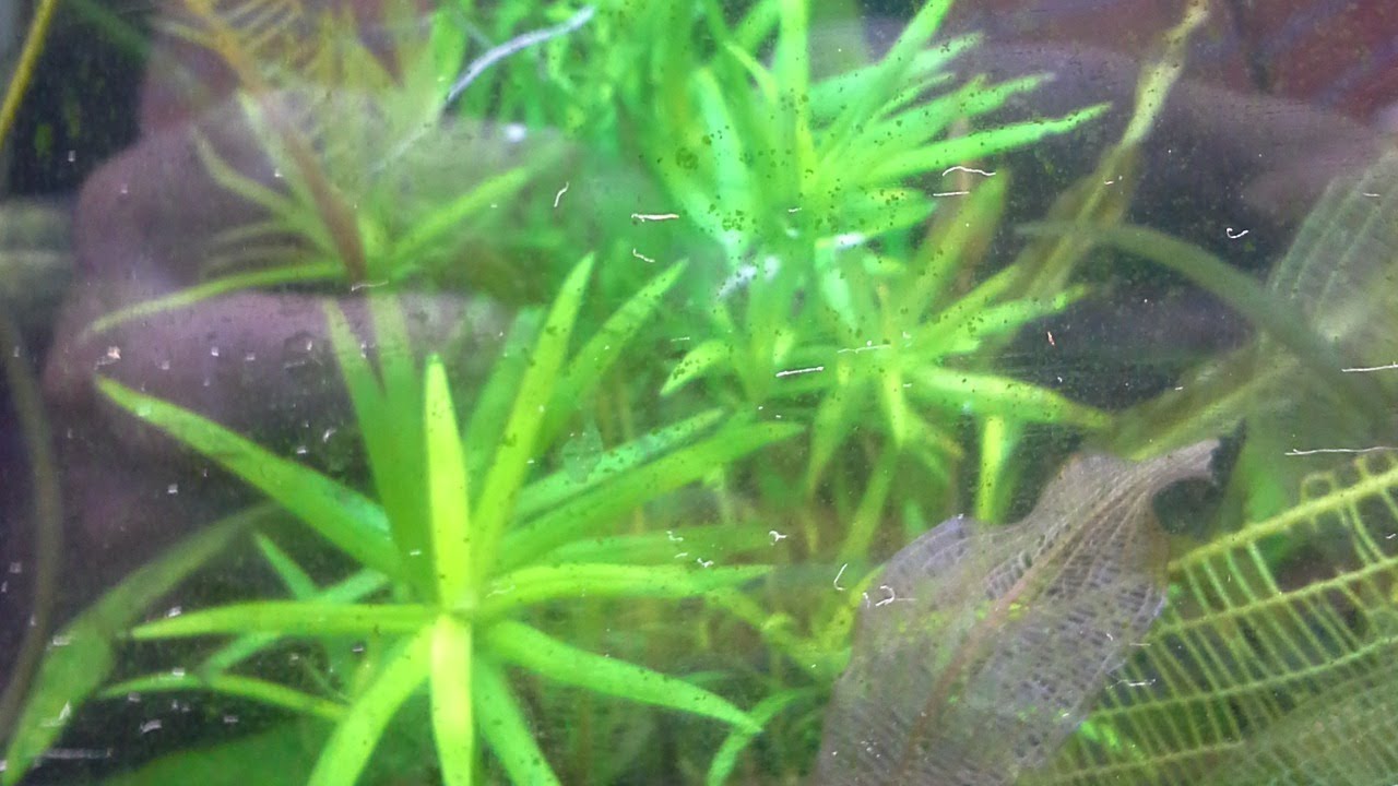 DEEP SUBSTRATE - THE RULES! - YouTube